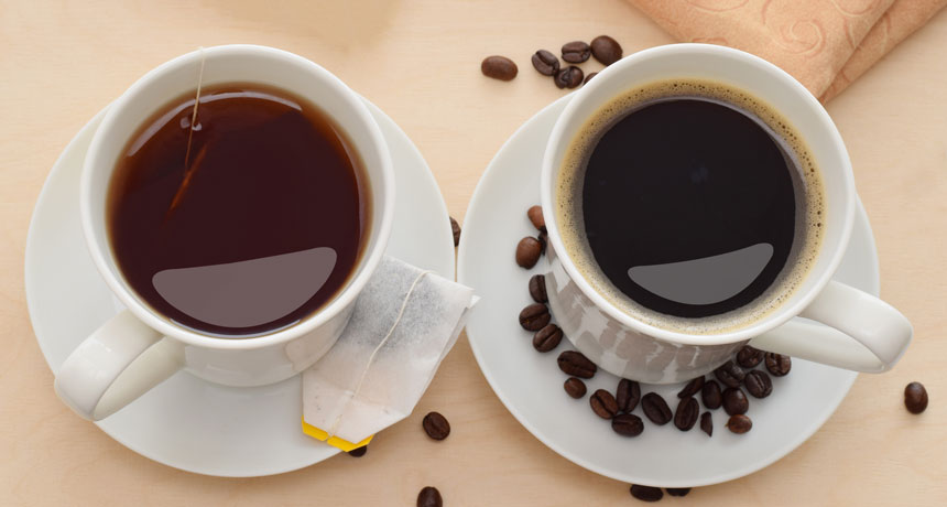 From Coffee to Tea - Hippi CBD Tea
